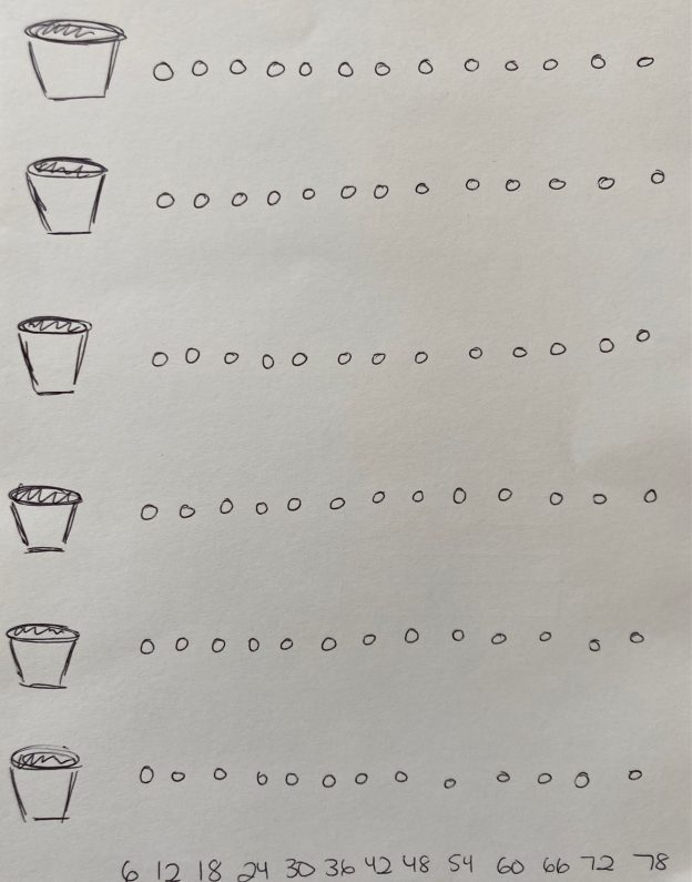 Sowing Seeds | Dividing Whole Numbers | 5-Day Problem Based Math Unit