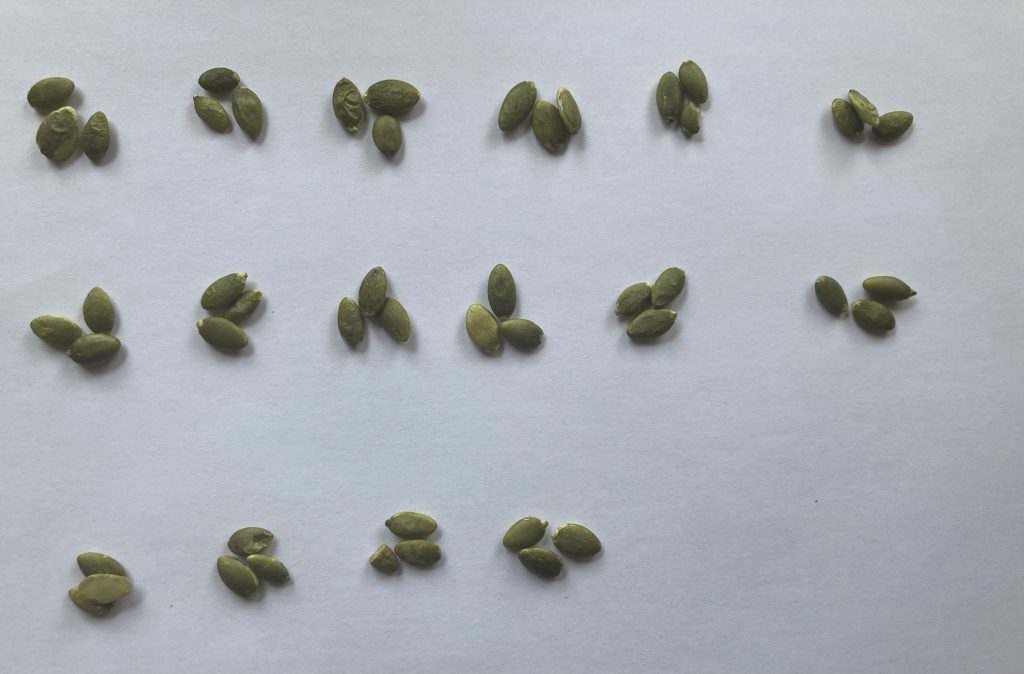 Sowing Seeds Revisited | One-Step Algebraic Equations | 5-Day Problem ...