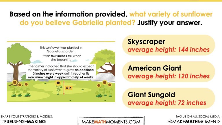 Planting Flowers Revisited | Two-Step Algebraic Equations | Patterning