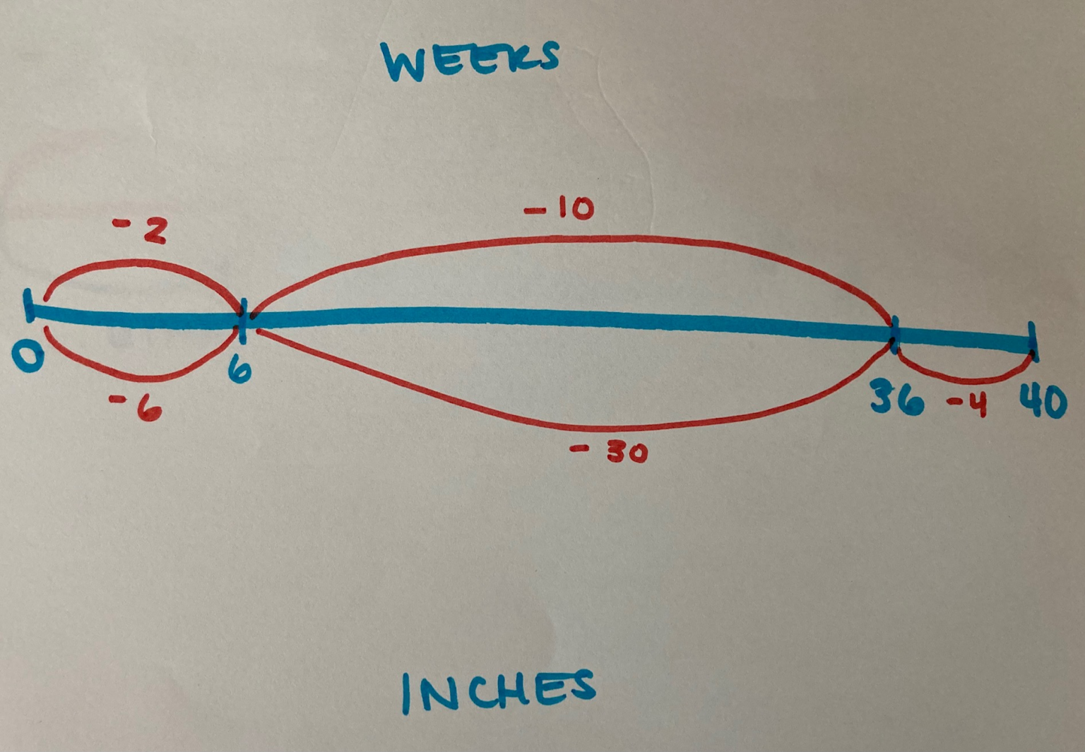 Planting Flowers Revisited | Two-Step Algebraic Equations | Patterning