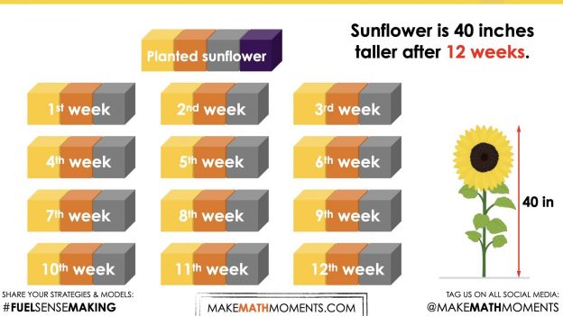 Planting Flowers Revisited | Two-Step Algebraic Equations | Patterning