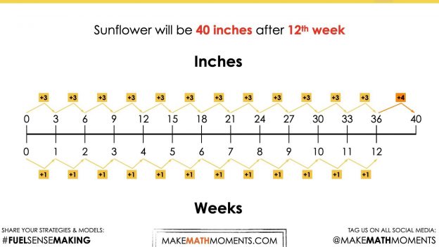 Planting Flowers Revisited | Two-Step Algebraic Equations | Patterning