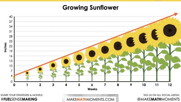 Planting Flowers Revisited | Two-Step Algebraic Equations | Patterning