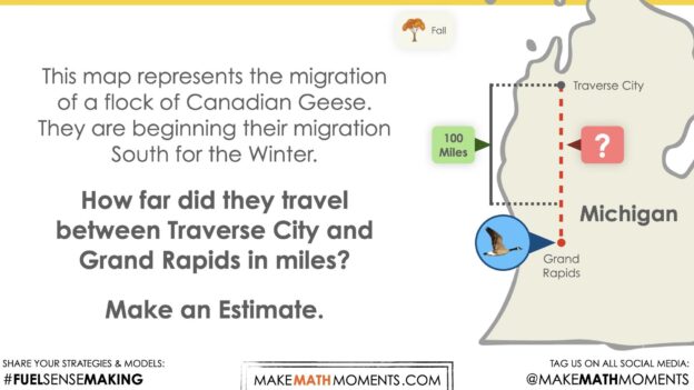 Bird Migration | Growing Linear Patterning Real World Math Lessons