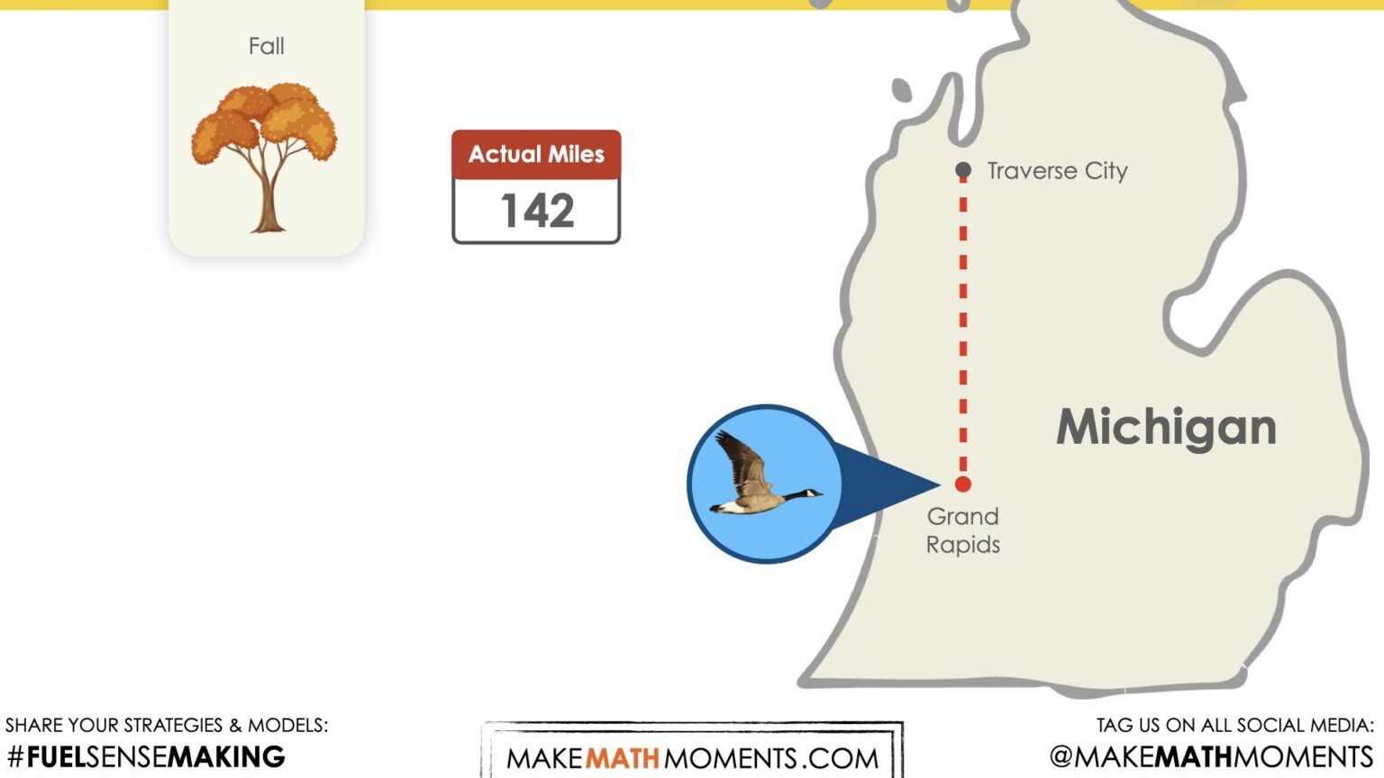 Bird Migration | Growing Linear Patterning Real World Math Lessons