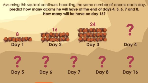 Acorn Hoarding | Visual Patterns | Linear Relations & Linear Equations