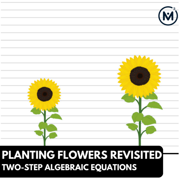 Planting Flowers Revisited | Two-Step Algebraic Equations | Patterning